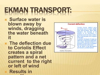 Marine Ocean Current Notes | PPT