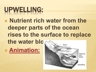 Marine Ocean Current Notes | PPT