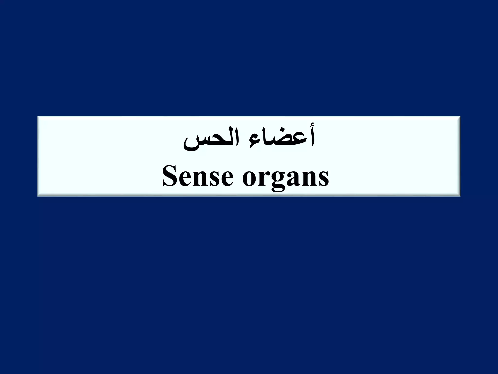 Lect. 12 - Insect sense organs | PPSX