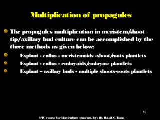 12. meristem culture | PPT