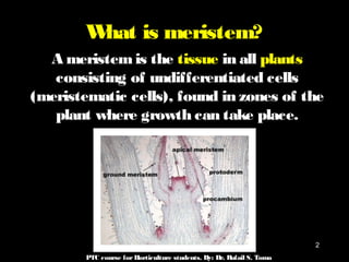 12. meristem culture | PPT