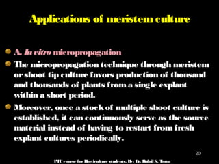 12. meristem culture | PPT