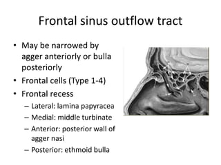 Pns paranasal sinuses | PPT