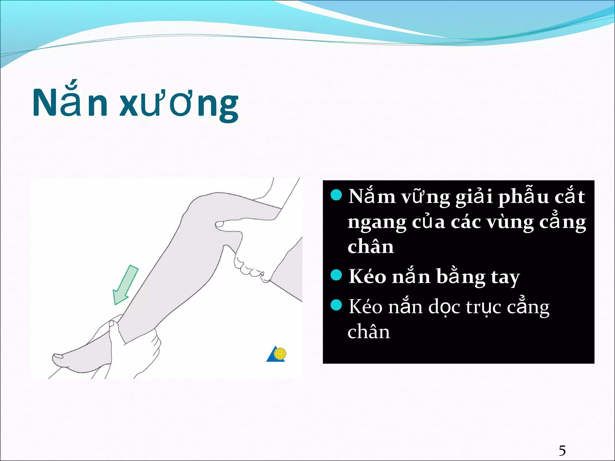 12. external fixation of tibial shaft v nese | PPT