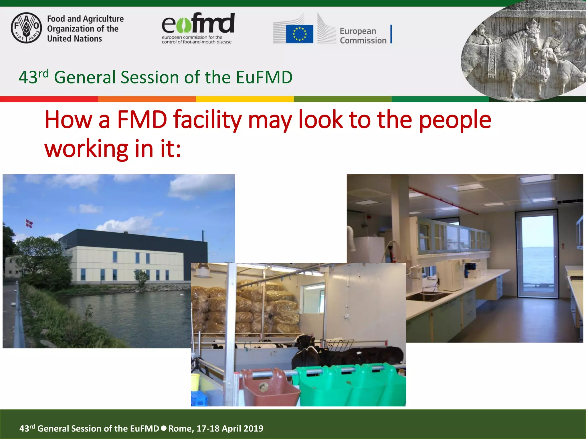 GS43_12. EuFMD minimum biorisk management standard | PPT
