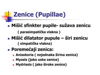 1Kranijalni nervi | PPT