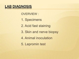 12. mycobacterium leprae | PPTX