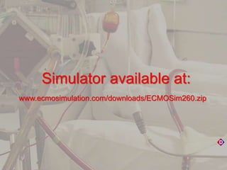 12. the ecmo simulator #beach2019 (malbrain) | PPTX