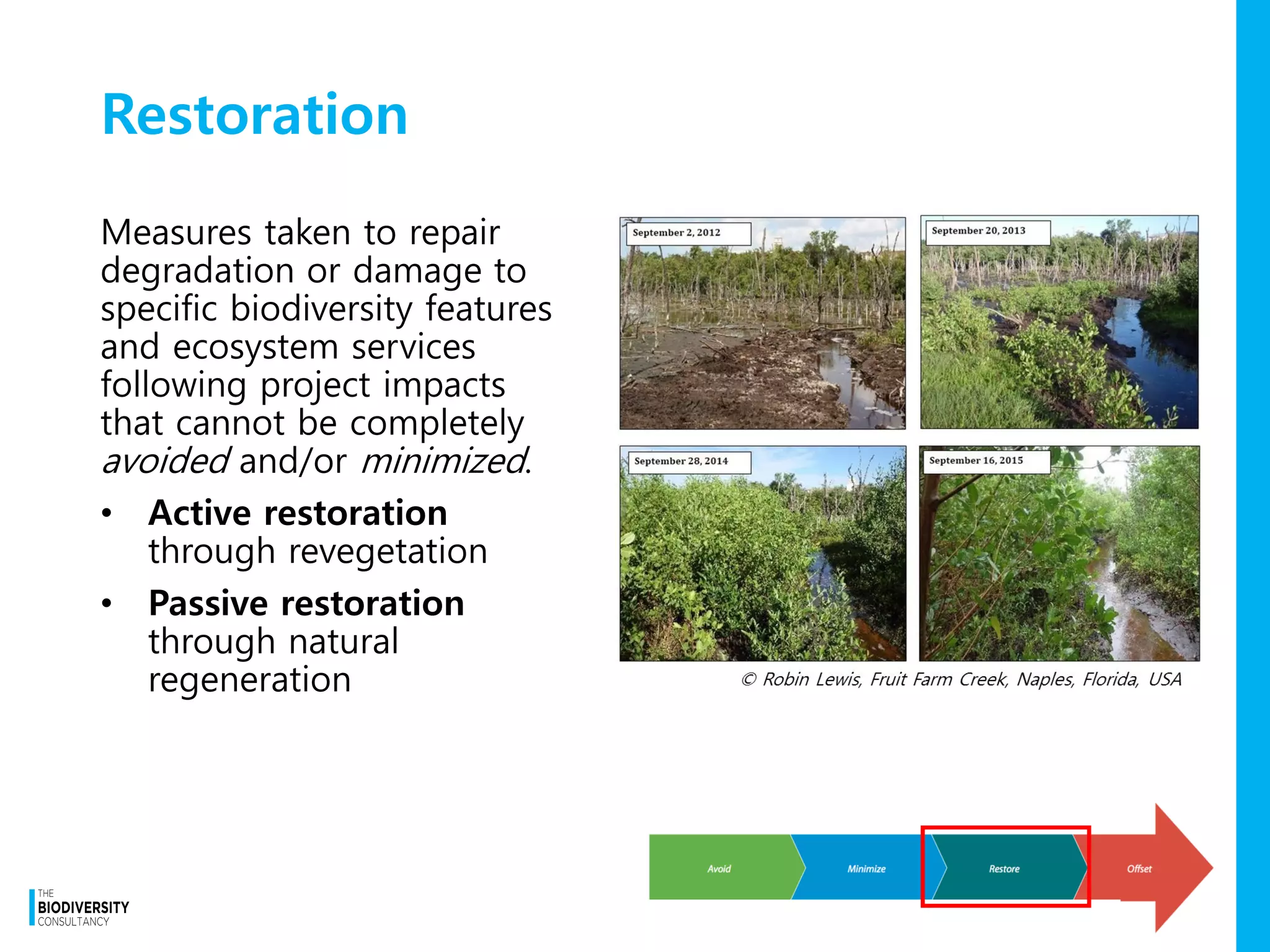 Mitigation Hierarchy and marine biodiversity impacts | PPT
