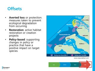 Mitigation Hierarchy and marine biodiversity impacts | PPT