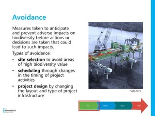 Mitigation Hierarchy and marine biodiversity impacts | PPT