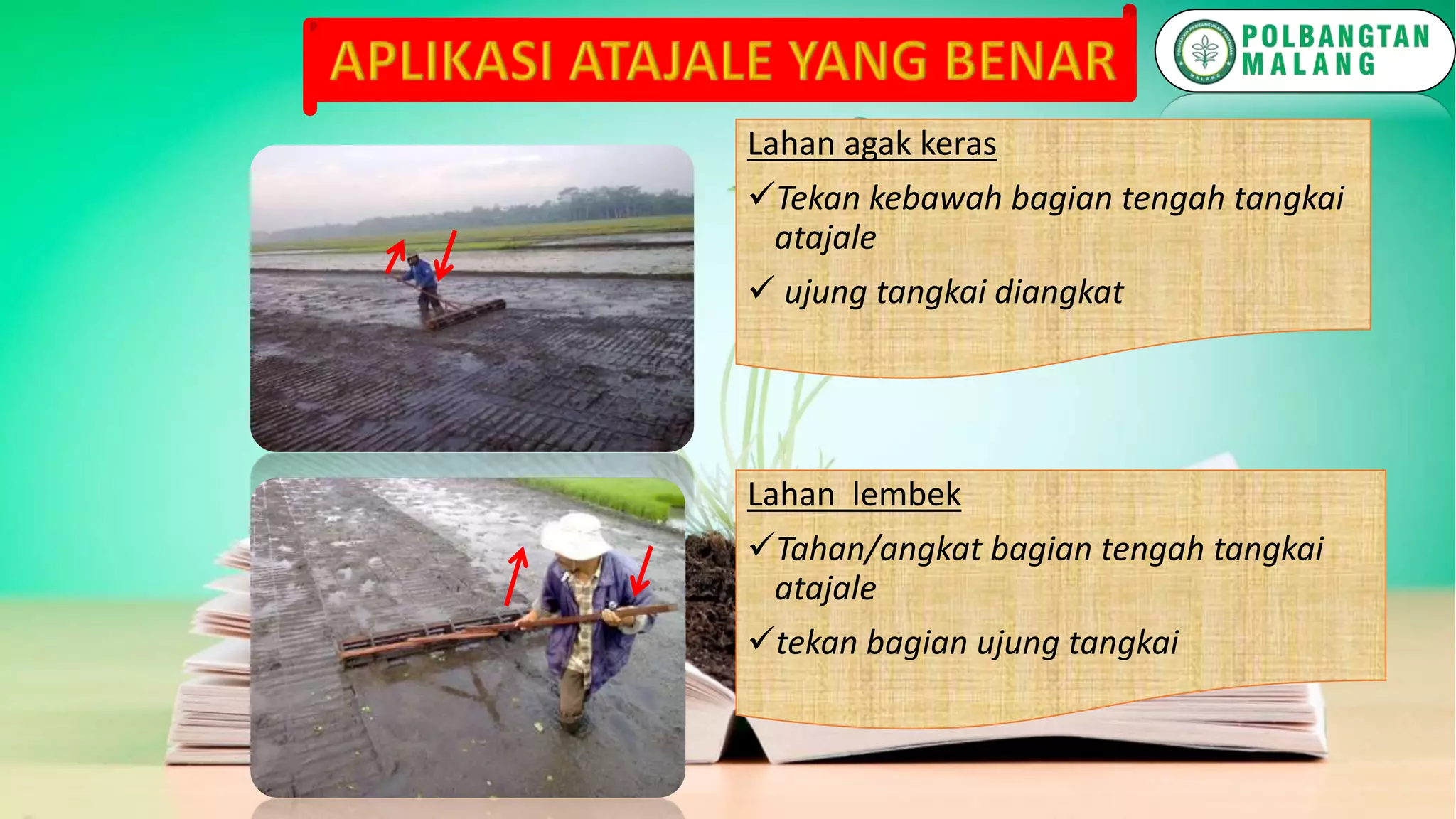 SISTEM TANAM PADI JAJAR LEGOWO 2 : 1 (Dedi K ) | PPTX