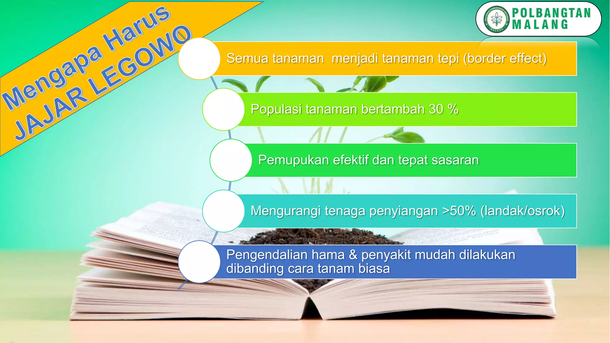 SISTEM TANAM PADI JAJAR LEGOWO 2 : 1 (Dedi K ) | PPT