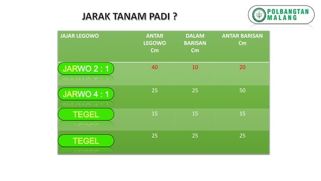 SISTEM TANAM PADI JAJAR LEGOWO 2 : 1 (Dedi K ) | PPTX