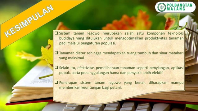 SISTEM TANAM PADI JAJAR LEGOWO 2 : 1 (Dedi K ) | PPTX