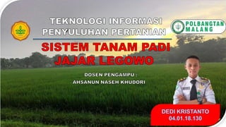 SISTEM TANAM PADI JAJAR LEGOWO 2 : 1 (Dedi K ) | PPTX