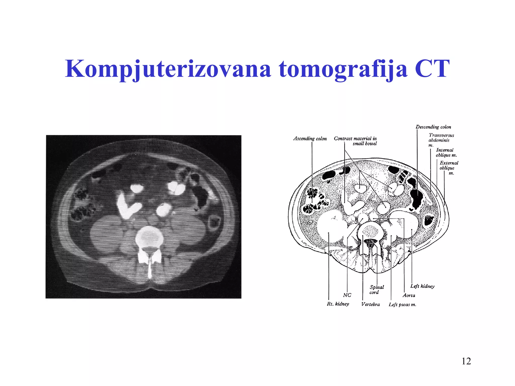 Anatomija uvod (1) | PPT
