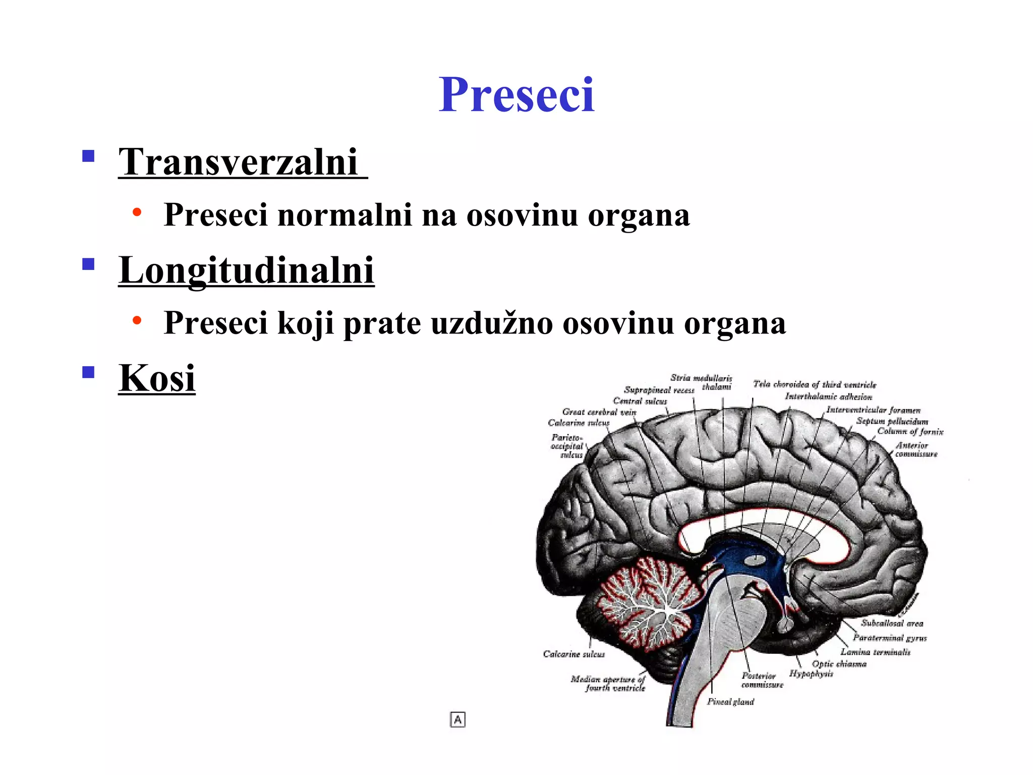Anatomija uvod (1) | PPT