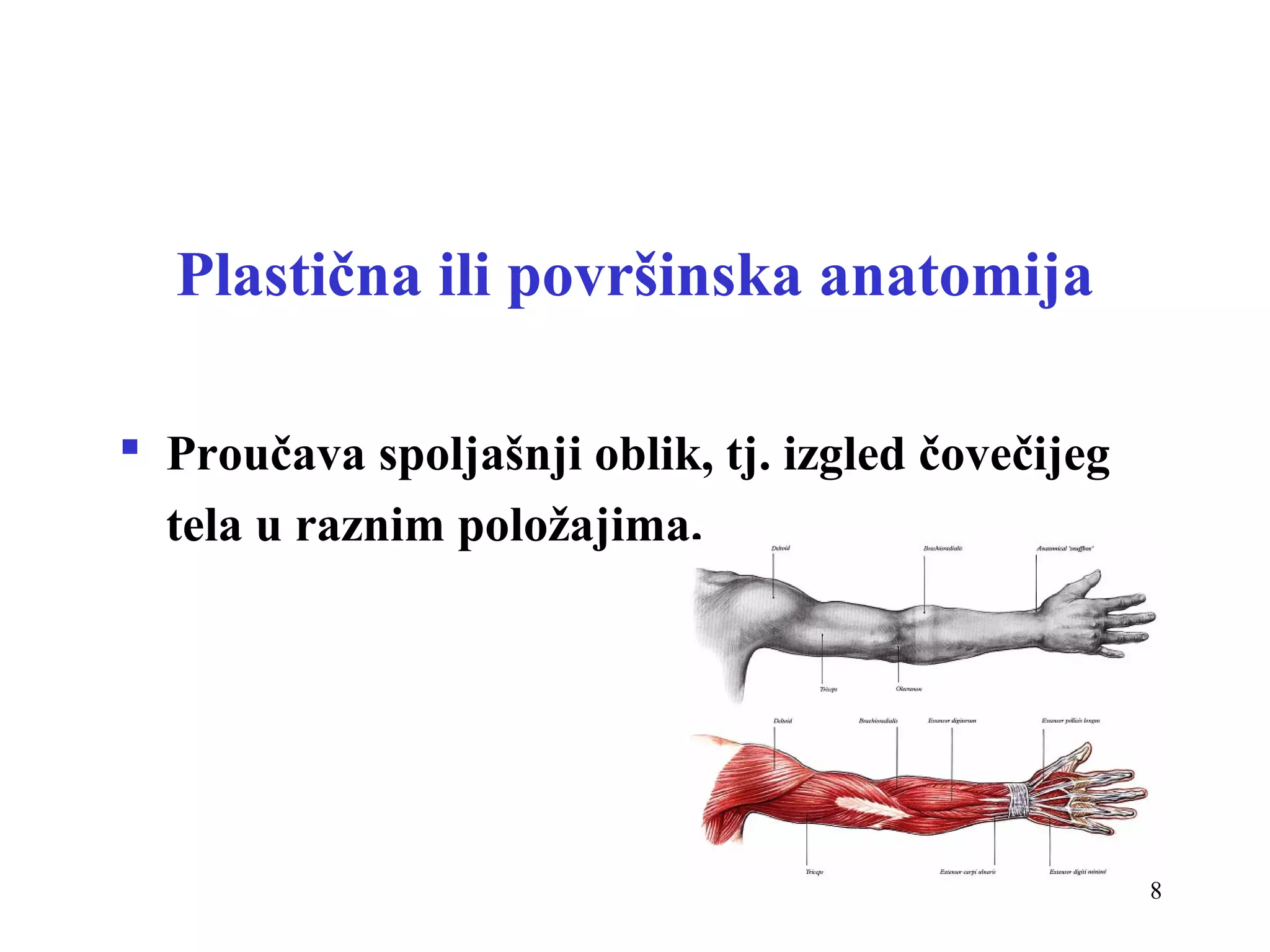 Anatomija uvod (1) | PPT