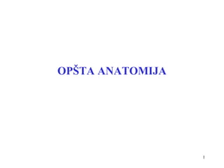 Anatomija uvod (1) | PPT
