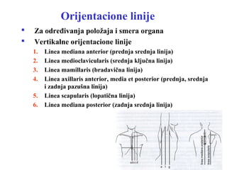 Anatomija uvod (1) | PPT