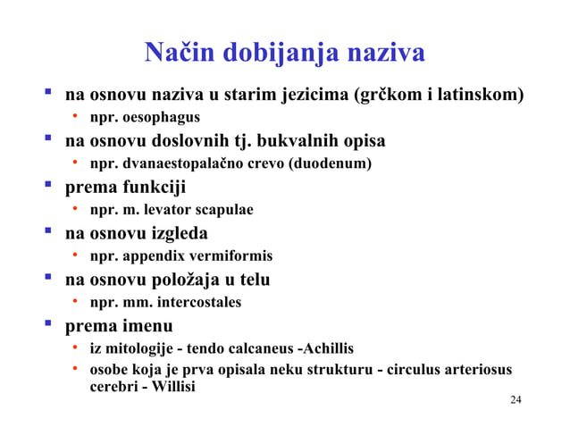 Anatomija uvod (1) | PPT