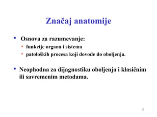 Anatomija uvod (1) | PPT