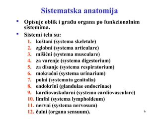 Anatomija uvod (1) | PPT