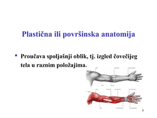 Anatomija uvod (1) | PPT