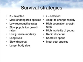 Population Dynamics | PPT