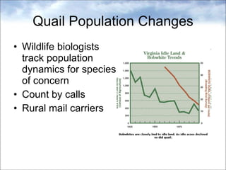 Population Dynamics | PPT