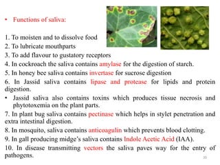 Digestive system | PPTX