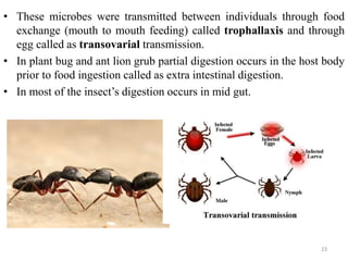 Digestive system | PPTX