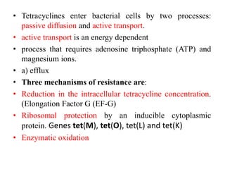 Tetracylines and Macrolide antibiotics | PDF