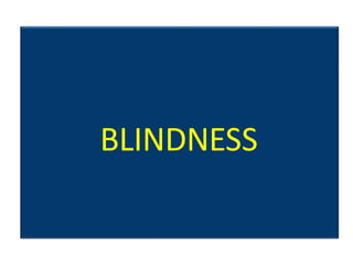 12. blindness | PPTX