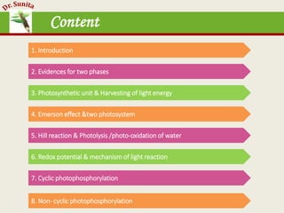 Photosynthesis light phase | PPTX | Chemistry | Science