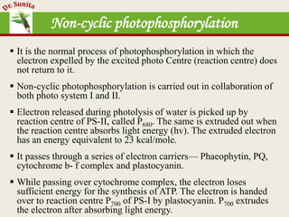 Photosynthesis light phase | PPT