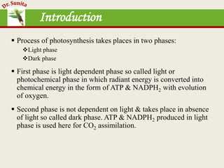 Photosynthesis light phase | PPTX | Chemistry | Science