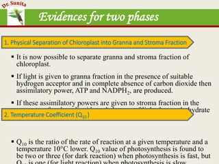 Photosynthesis light phase | PPTX | Chemistry | Science