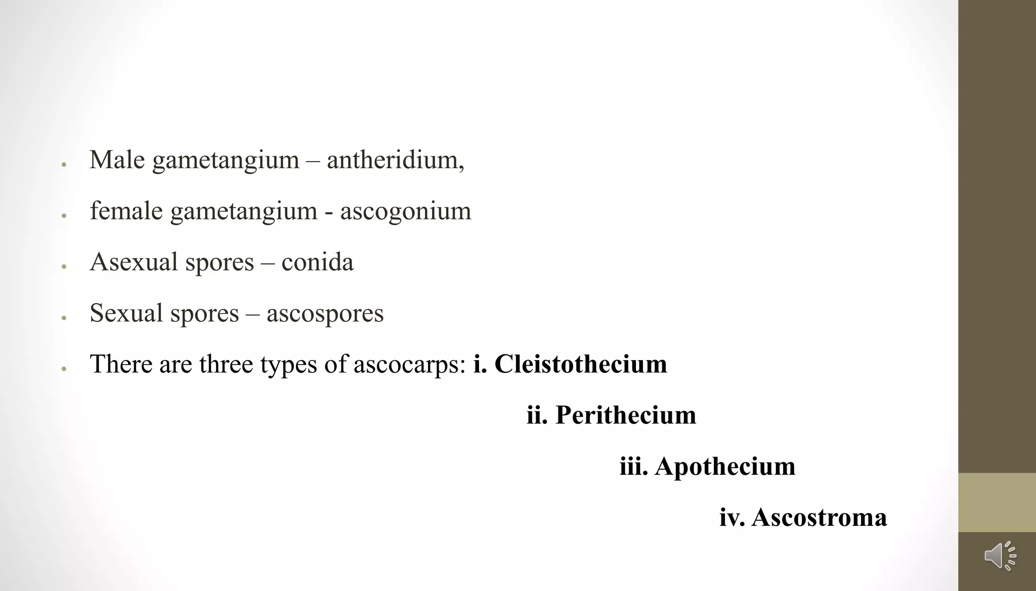 Ascomycota | PDF