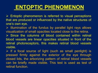 Macular function tests | PPT | Eye and Vision Conditions | Diseases and ...