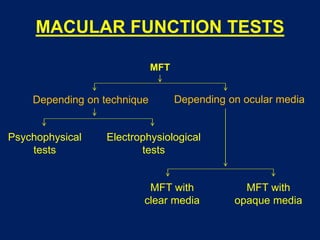 Macular function tests | PPT | Eye and Vision Conditions | Diseases and ...