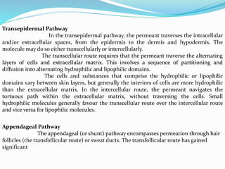 TRANSDERMAL DRUG DELIVERY | PPTX