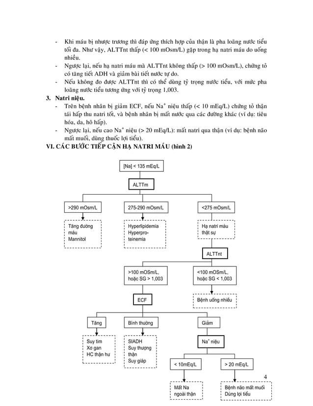 HẠ NATRI MÁU | PDF