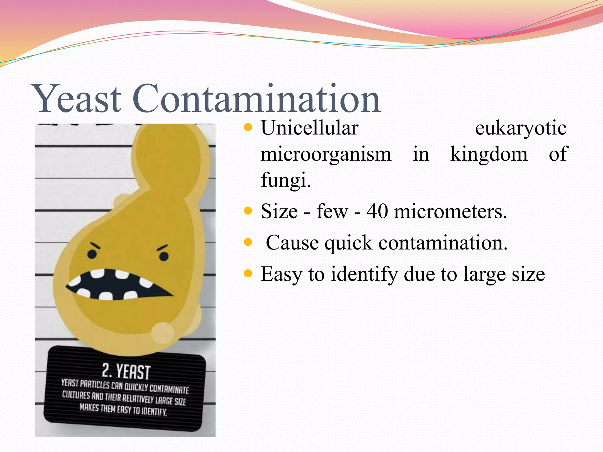 Contamination in Cultured Cells | PPTX
