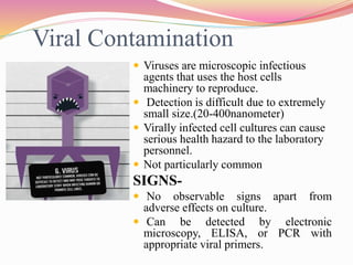 Contamination in Cultured Cells | PPTX