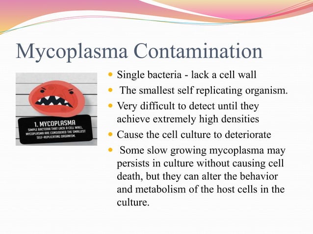 Contamination in Cultured Cells | PPTX