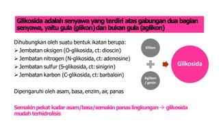 12.-Glikosida.pptx