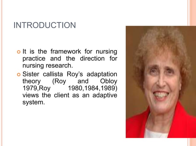 12. ROY'S THEORY.ppt