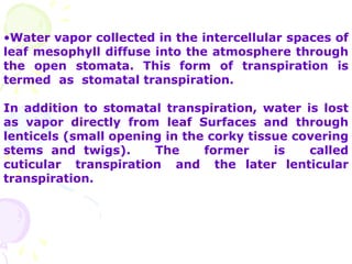 12. M.Sc -Transpiration.ppt